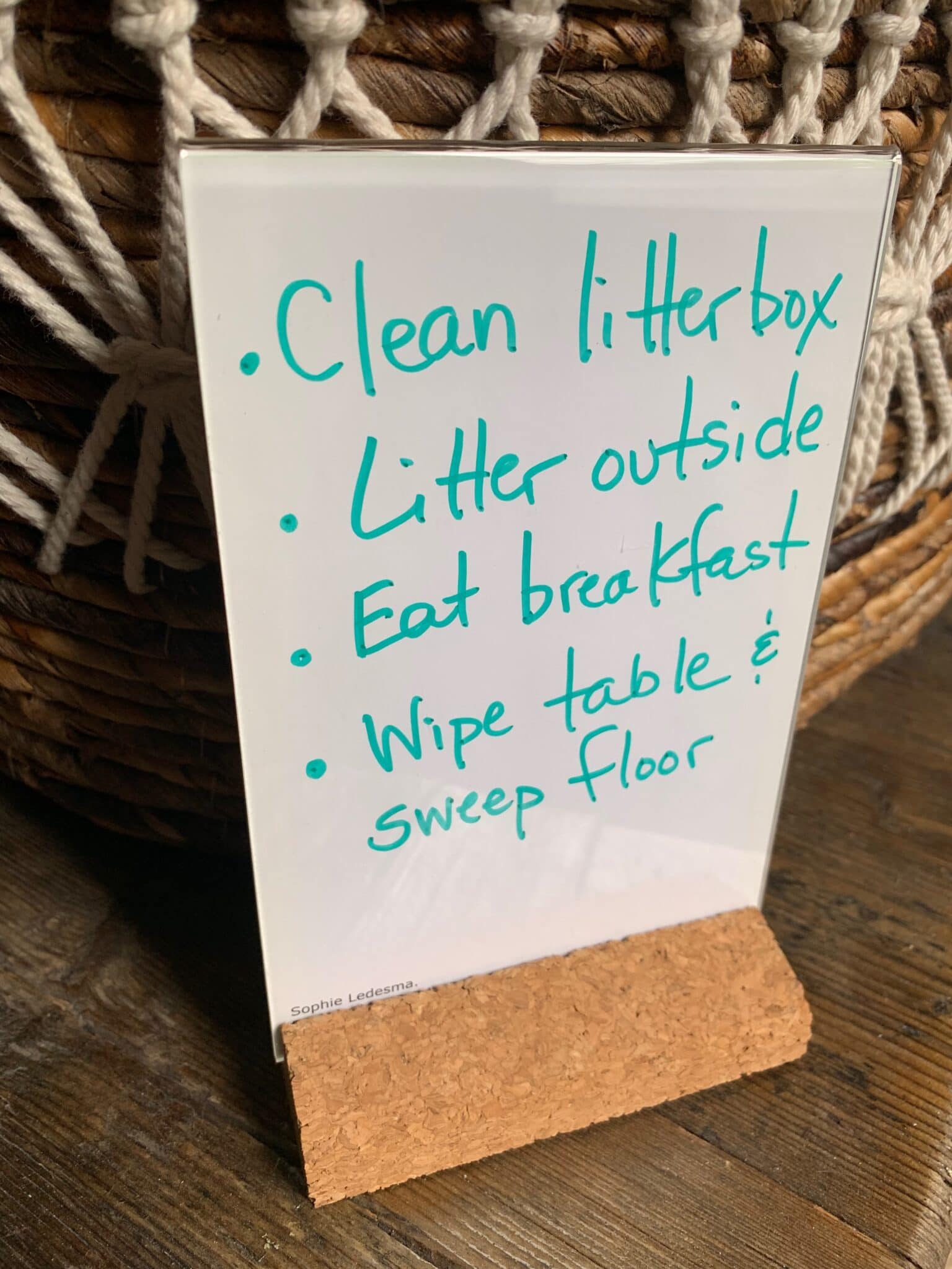 Morning Routines for ADHD Kids - Fuzzymama